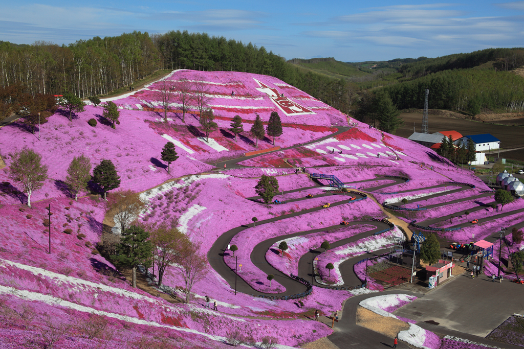 La collina rosa di Hokkaido - Le news più strane - Viaggi